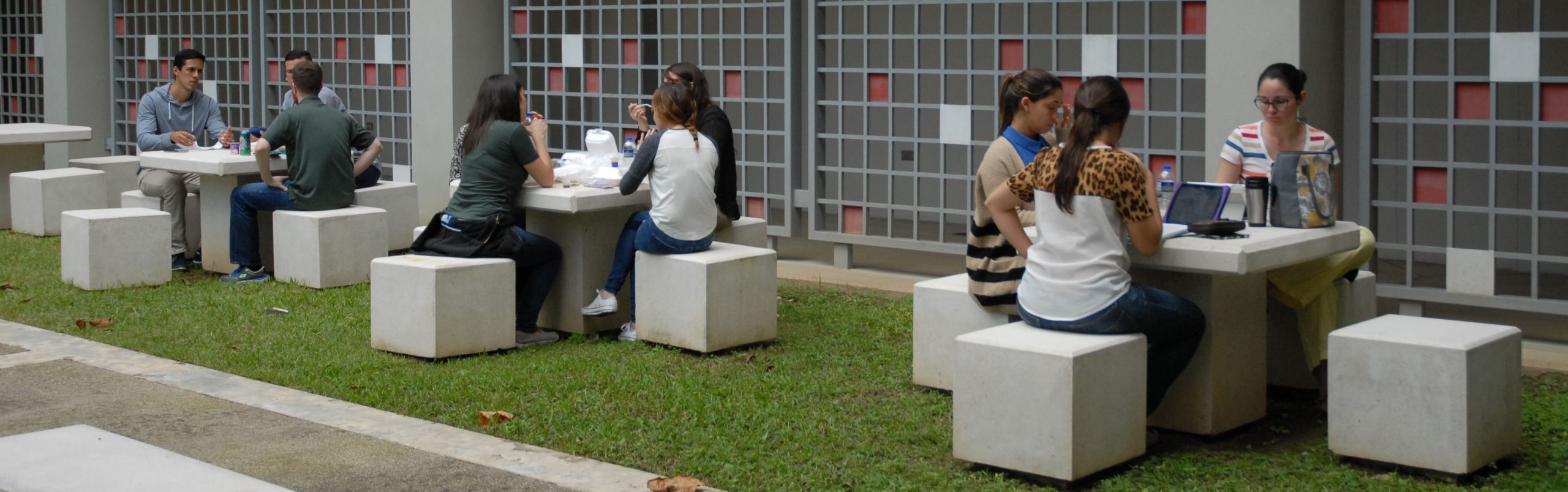 Escuela de Farmacia – RCM UPR